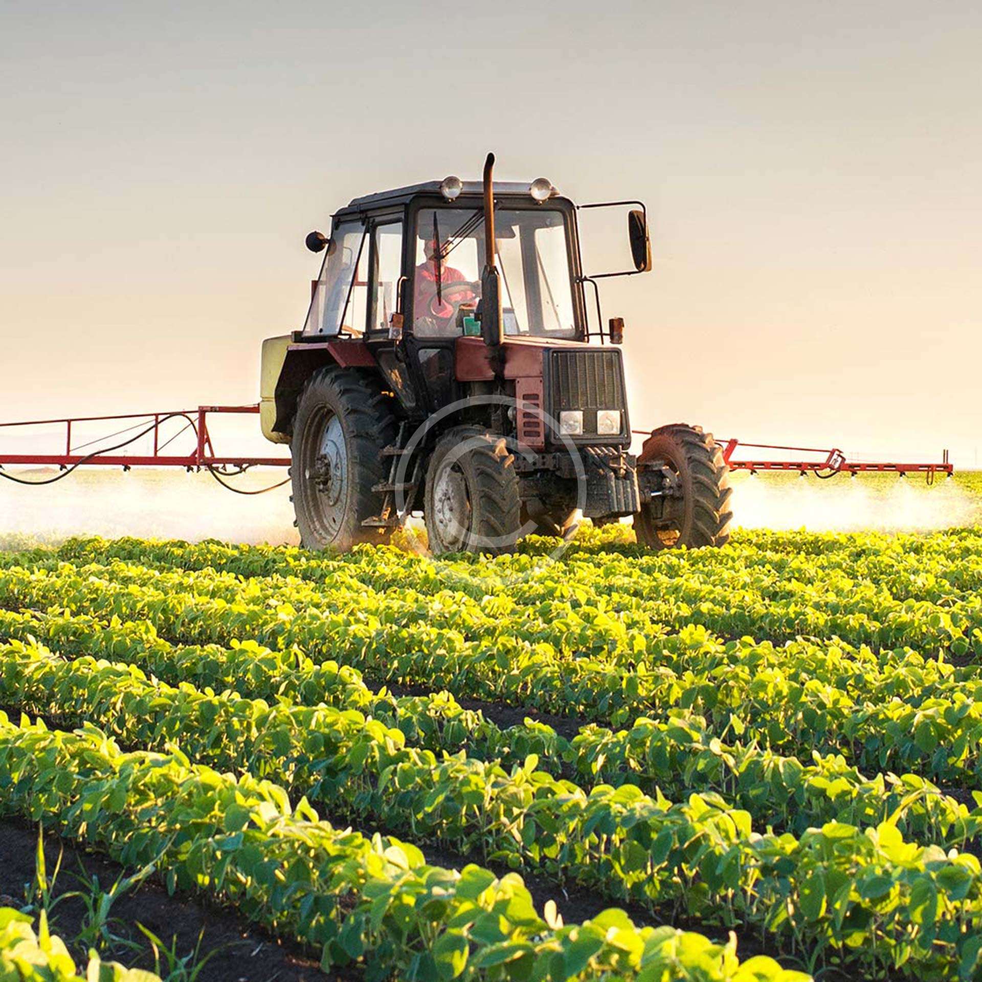 Risk Management | Selim Uludag