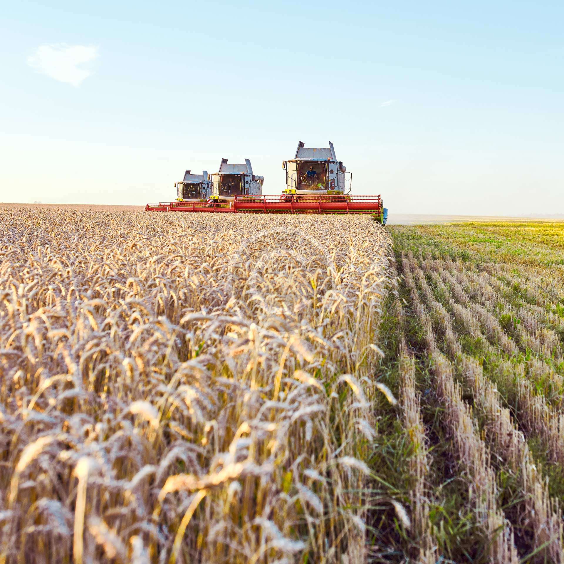 Product Supplies | Selim Uludag