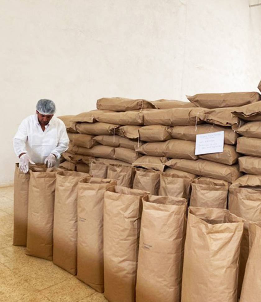 PROCESSES | Selim Uludag