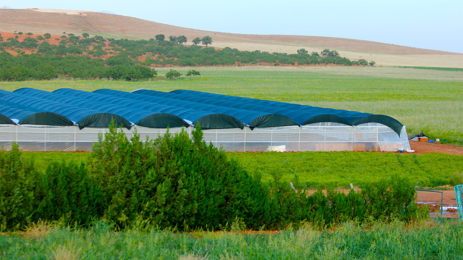 Selim Uludag Herbs | Organic Air-Dried Herbs | Selim Uludag