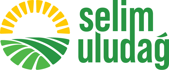 Risk Management | Selim Uludag